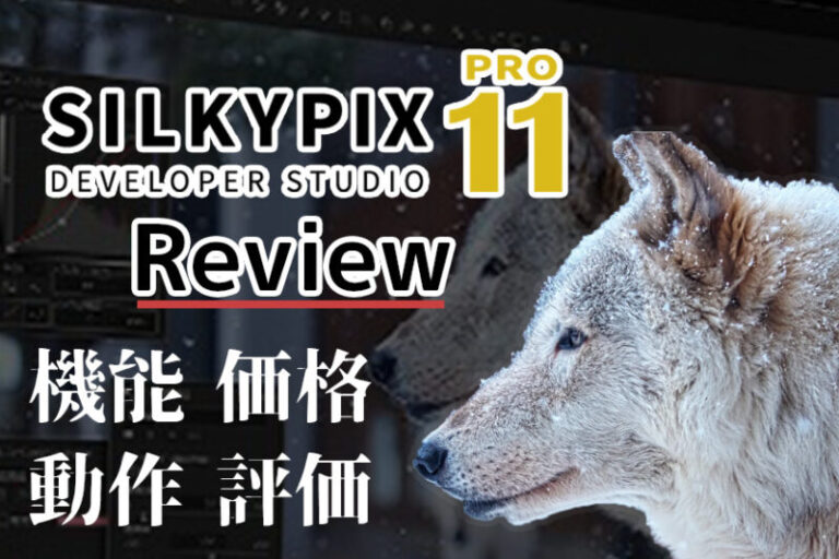 【評価】SILKYPIX Developer Studio Pro 11を忖度なしでレビュー！