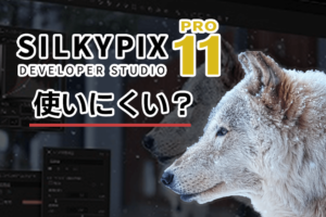 SILKYPIX Developer Studio Pro 11は使いにくい？使い方を分かりやすく紹介