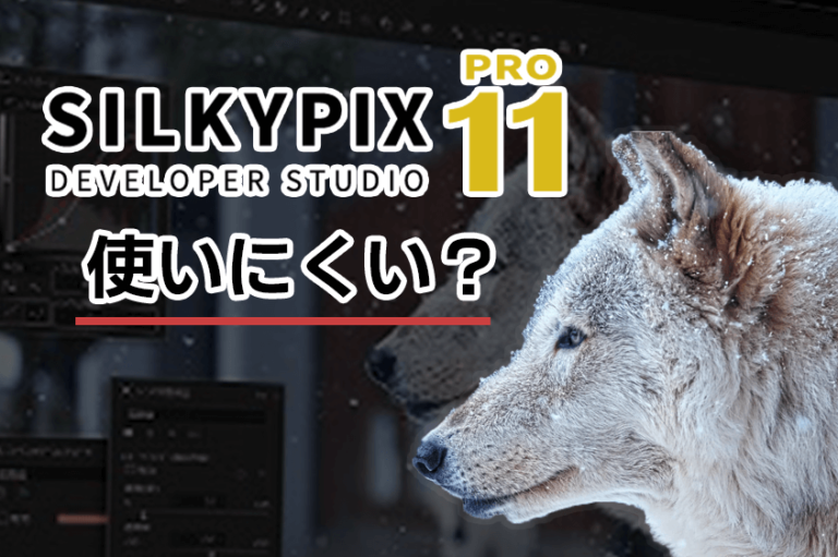 SILKYPIX Developer Studio Pro 11は使いにくい？使い方を分かりやすく紹介
