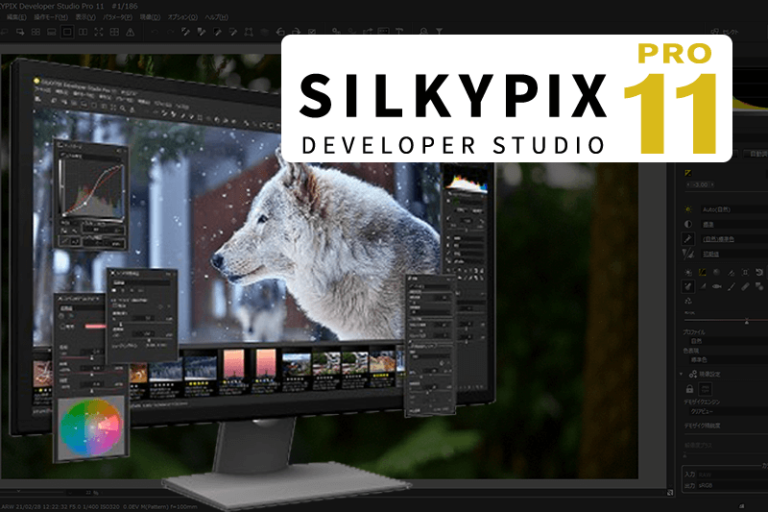SILKYPIX Developer Studio Pro 11は使いにくい？使い方を分かりやすく紹介