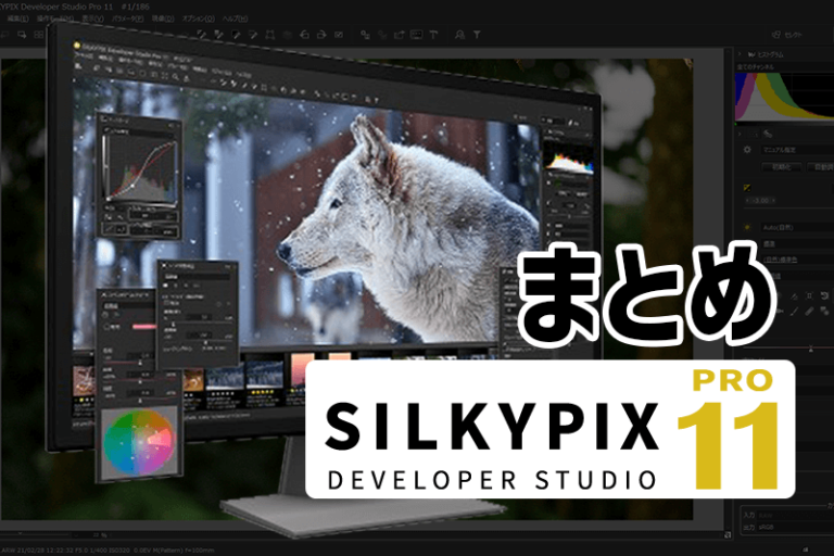 SILKYPIX Developer Studio Pro 11は使いにくい？使い方を分かりやすく紹介