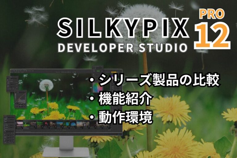 【評価】SILKYPIX Developer Studio Pro 12を忖度なしでレビュー！